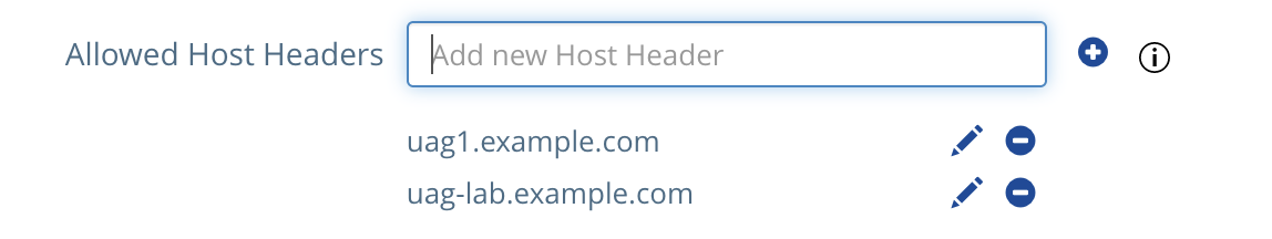 Security Enhancements in Unified Access Gateway (UAG) version 2312 and beyond (96373)